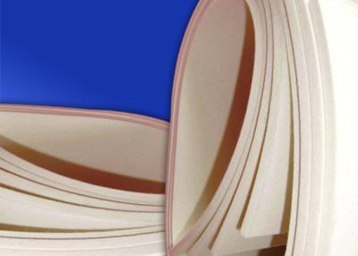China Endless Polyester Needle Felt 50% Polyester And 50% Nomex Meta Aramid for sale