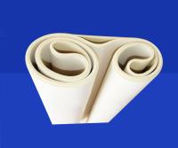China Polyester Needle Punched Two Layers Endless Felts for Textile Finishing 2m Width for sale
