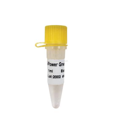 China Power Green QPCR Mix High ROX+ for ABI Real Time PCR for sale