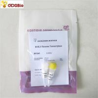 China M-Mlv Reverse Transcriptase PCR Reagents Rt PCR R1041/R1042 for sale