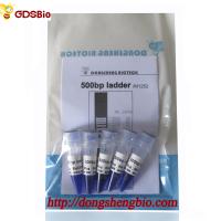 China Classic DNA Ladders & Markers 500bp Ladder M1251/M1252 for sale