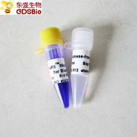 China FSTM Taq Mix Direct for Blood  #P2071a 1ml for sale
