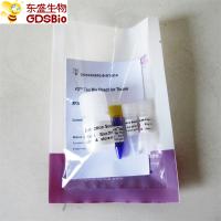 China FSTM Taq Mix Direct for Tissue #P2071b 1ml for sale