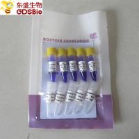 China PCR Master Mix FSTM Taq Mix Direct for Blood #P2072a 5 ml for sale