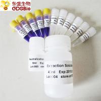 China PCR Master Mix FSTM Taq Mix Direct for Tissue #P2072b 5 ml for sale
