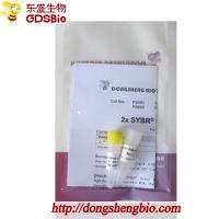 China SYBR Green qPCR Mix for Roche Biorad DNA real time PCR 5ml for sale