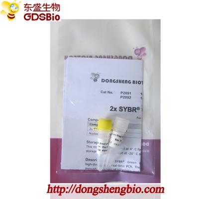 China SYBR Green qPCR Mix for Roche Biorad DNA real time PCR 5ml for sale