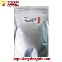 China SYBR Green qPCR Mix for Roche Biorad DNA real time PCR 5ml for sale