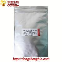 China SYBR Green qPCR Mix low ROX+ for Roche ABI DNA real time PCR for sale