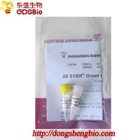 China SYBR Green qPCR Mix low ROX+ for Roche ABI DNA real time PCR for sale