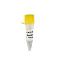 China HS Probe qPCR Mix for DNA real time PCR for sale