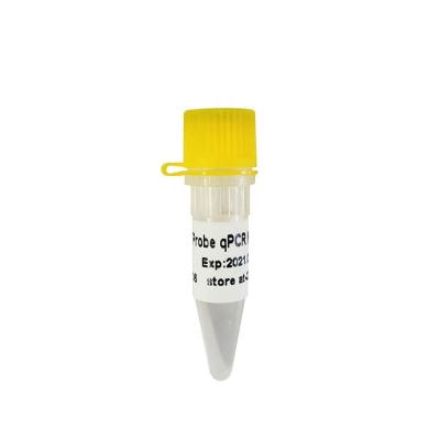 China HS Probe qPCR Mix for DNA real time PCR for sale