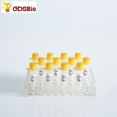 China Power Green qPCR Mix with ROX for ABI Roche DNA real time PCR for sale