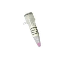 China Power Green qPCR Mix with ROX for ABI Roche DNA real time PCR for sale