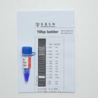 China 10bp Ladder DNA Marker M1011 (50μg)/M1012 (50μg×5) for sale