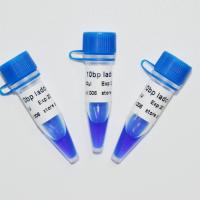 China 10bp Ladder DNA Marker M1011 (50μg)/M1012 (50μg×5) for sale