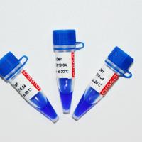 China 10bp Ladder DNA Marker M1011 (50μg)/M1012 (50μg×5) for sale
