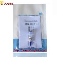 China High Purity Reagents 20bp DNA Marker Ladder Gel Electrophoresis for sale
