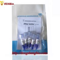 China High Purity Reagents 20bp DNA Marker Ladder Gel Electrophoresis for sale