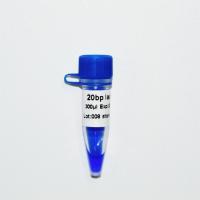 China High Purity Reagents 20bp DNA Marker Ladder Gel Electrophoresis for sale