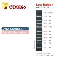 China Low Ladder DNA Marker M1031 (50μg)/M1032 (50μg×5) for sale