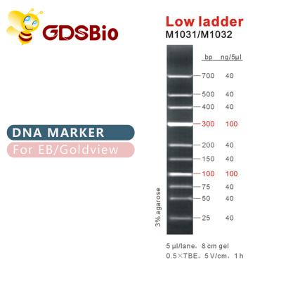 China Low Ladder DNA Marker M1031 (50μg)/M1032 (50μg×5) for sale