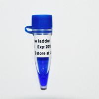 China Low Ladder DNA Marker M1031 (50μg)/M1032 (50μg×5) for sale