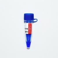China Low Ladder DNA Marker M1031 (50μg)/M1032 (50μg×5) for sale