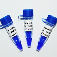 China Low Ladder DNA Marker M1031 (50μg)/M1032 (50μg×5) for sale