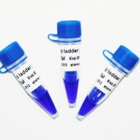 China 50bp Ladder Plus DNA Marker M1051 (50μg)/M1052 (50μg×5) for sale
