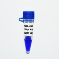 China 100bp Ladder Plus DNA Marker M1071 (50μg)/M1072 (50μg×5) for sale