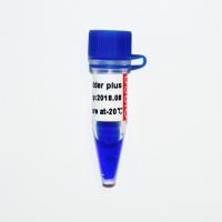 China 100bp Ladder Plus DNA Marker M1071 (50μg)/M1072 (50μg×5) for sale