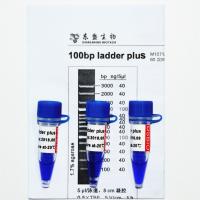 China 100bp Ladder Plus DNA Marker M1071 (50μg)/M1072 (50μg×5) for sale