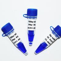 China 100bp Ladder Plus DNA Marker M1071 (50μg)/M1072 (50μg×5) for sale