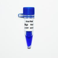 China Marker 1 DNA ladder M1081 (50μg)/M1082 (50μg×5) for sale