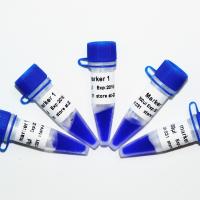 China Marker 1 DNA ladder M1081 (50μg)/M1082 (50μg×5) for sale