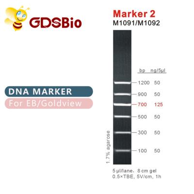 China Marker 2 DNA ladder M1091 (50μg)/M1092 (50μg×5) for sale