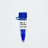 China Marker 2 DNA ladder M1091 (50μg)/M1092 (50μg×5) for sale