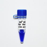 China DS 2000 DNA Marker Ladder M1101 (50μg)/M1012 (50μg×5) for sale