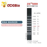 China DS 5000 DNA Marker Ladder M1111 (50μg)/M1112 (5×50μg) for sale