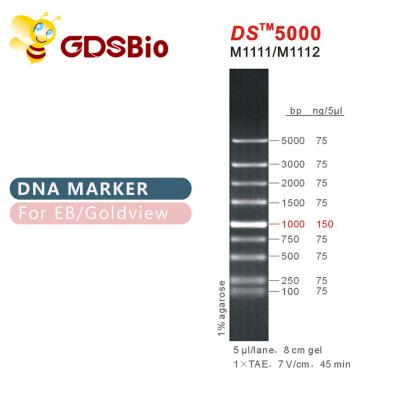 China DS 5000 DNA Marker Ladder M1111 (50μg)/M1112 (5×50μg) for sale
