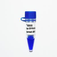 China DS 5000 DNA Marker Ladder M1111 (50μg)/M1112 (5×50μg) for sale