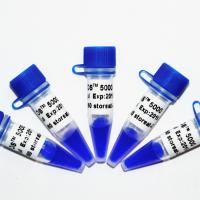 China DS 5000 DNA Marker Ladder M1111 (50μg)/M1112 (5×50μg) for sale