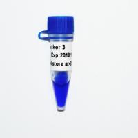 China Marker 3 DNA ladder M1121 (50μg)/M1122 (5×50μg) for sale