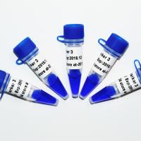 China Marker 3 DNA ladder M1121 (50μg)/M1122 (5×50μg) for sale