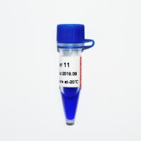 China Marker 11 DNA ladder M1131 (50μg)/M1132 (5×50μg) for sale