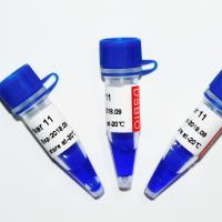 China Marker 11 DNA ladder M1131 (50μg)/M1132 (5×50μg) for sale