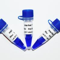 China Marker 11 DNA ladder M1131 (50μg)/M1132 (5×50μg) for sale