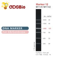 China Marker 12 DNA ladder M1141 (50μg)/M1142 (5×50μg) for sale