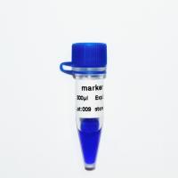 China Marker 12 DNA ladder M1141 (50μg)/M1142 (5×50μg) for sale